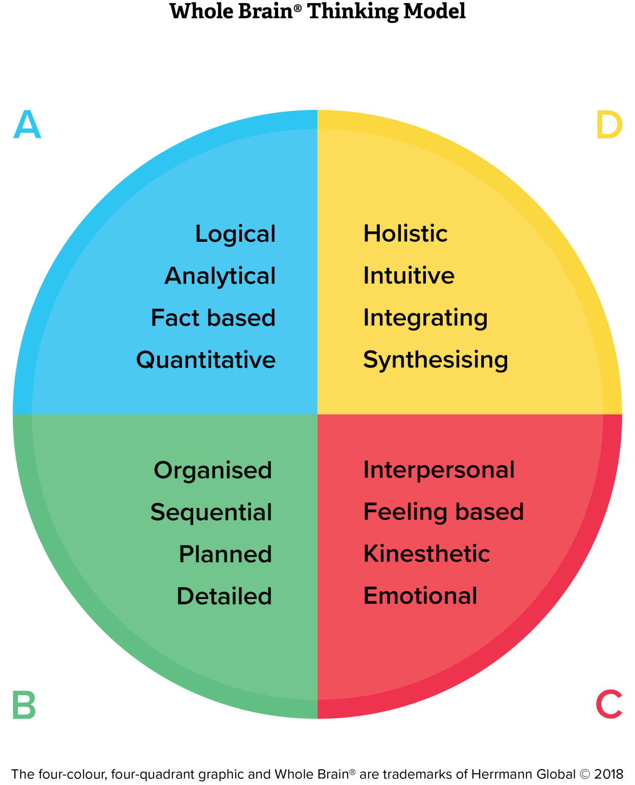 Whole Brain Thinking Tool | Boost Creativity & Leadership Skills
